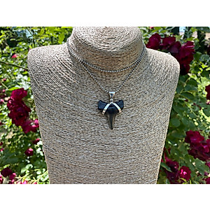Starborn Fossil Shark Tooth Pendant in Sterling Silver - MD