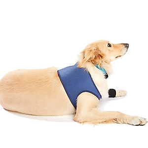 Dog Recovery Suit, Cone Collar Alternative, Abrasion Resistant Dog Recovery Sleeve, Washable 2.5mm Thick and Waterproof, Pet Wounds Prevent Licking, Bite, Keep Dry (XL)