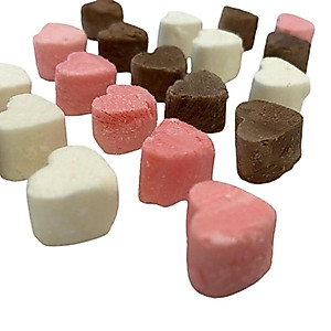 Moonix Freeze Dried Ice Cream. 10ct (Neapolitan)