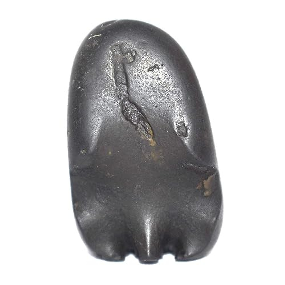 Rudrakshguru Hayagriva Shaligram - Gandaki River Nepal