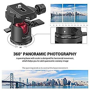 SmallRig Mini Ball Head, Tripod Head Camera 360° Panoramic with 1/4" Screw 3/8" Thread Mount and Quick Release Plate Metal Ball Joint for Monopod, DSLR, Phone, Gopro, Max Load 4.4lbs/2kg - BUT2665
