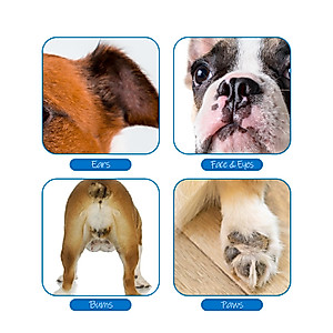 Mooncat Unscented Cat&Dog Wipes | Plant-Based Cat&Dog Grooming Supplies From Eye to Paw | Thick&Moist Cat&Dog Ear&Butt Cleaner | Allergy Relief | Deodorizing Dog Shampoo for Grooming Bath | 400 Counts