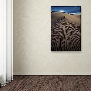 Desert Design by Dan Ballard, 30x47-Inch Canvas Wall Art