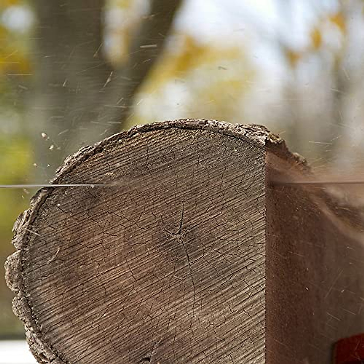 Wood-Mizer DoubleHard 144" Sawmill Bandsaw Blades 10° All-Purpose Sawing - 5 Pack