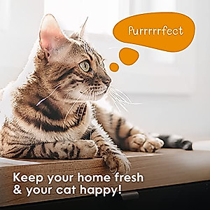 Litter Genie XL Pail (Beige) | Cat Litter Box Waste Disposal System for Odor Control | Includes 1 Square Refill Bag