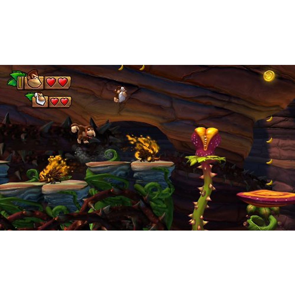 Donkey Kong Country: Tropical Freeze