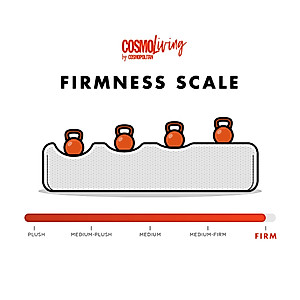 CosmoLiving by Cosmopolitan Highland Sofa with Pillows, Gray Velvet