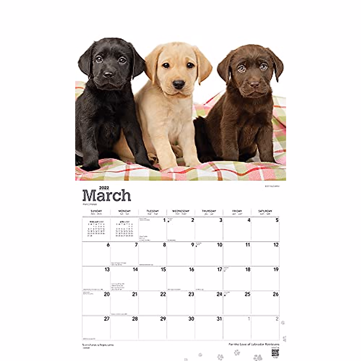 For the Love of Labrador Retrievers 2022 14 x 12 Inch Monthly Deluxe Wall Calendar with Foil Stamped Cover, Animal Dog Breeds DogDays