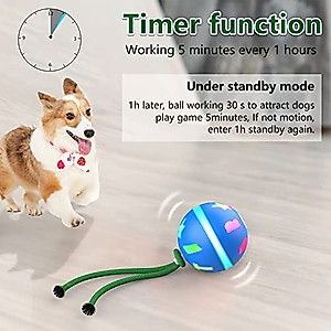 AUKL Interactive Dog Toys Wicked Ball Self Moving Motion Activated Ball