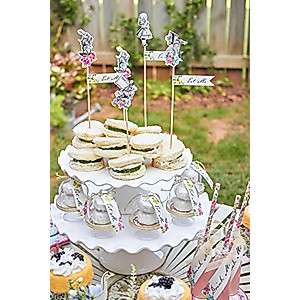 Talking Tables Truly Alice Mad Hatter Cake Domes for a Tea Party or Wedding, Multicolor (6 Pack)