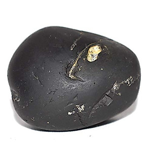 Rudrakshguru Janardhana Shaligram - Gandaki River Nepal