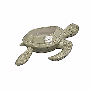 Comfy Hour Ocean Voyage Collection 9" Sea Turtle Succulent Planter Flower Bud Pot Decorative Small Plant Vase, Palegreen, Dolomite
