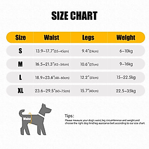 HDKUW Dog Lifting Harness,Dog Hind Legs Support Strap, Pet Portable Recovery Walking Training Lift Strap with Handle for Elderly Injured Amputation Disabled Dogs (XL)