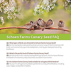 Schoen Farms Premium Canary Seed for Birds (5 LBS)