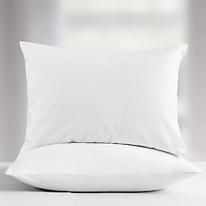 Ashton Sheets Luxury Egyptian Cotton Standard/Queen Pillow Cases Set of 2-1000 Thread Count White Standard/Queen Pillowcases, Soft, Sateen Weave Cooling Pillowcase for Standard/Queen Pillows