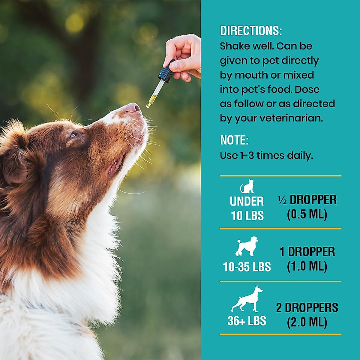 Special Breed Allergy & Immune with Elderberry, Allergy Relief for Cats and Dogs, Anti Itch Treatment, Relief for Pet Allergies, Immune Support for Cat or Dog, 2 oz