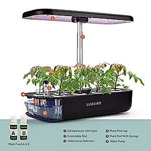 Luxbird Hydroponics Growing System, Indoor Herb Garden Starter Kit with LED Grow Light, Automatic Timer Smart Germination Kit for Kitchen Home Gardening, Height Adjustable (12 Pods)