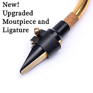 Saxophone Herche Superior Bb Tenor Saxophone X3 | Professional Instruments for All Levels | High F# Key | Educator Approved & Service Plan