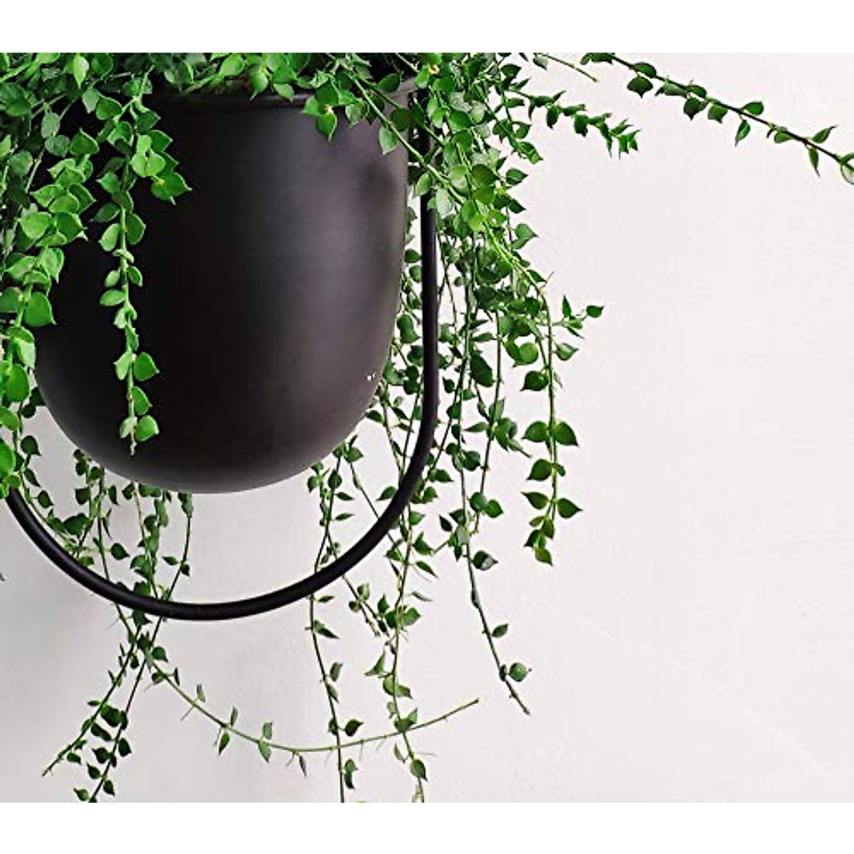 RISEON Boho Black Metal Plant Hanger,Metal Wall and Ceiling Hanging Planter, Modern Planter, Mid Century Flower Pot Plant Holder, Minimalist Planter for Indoor Outdoor Home Decor