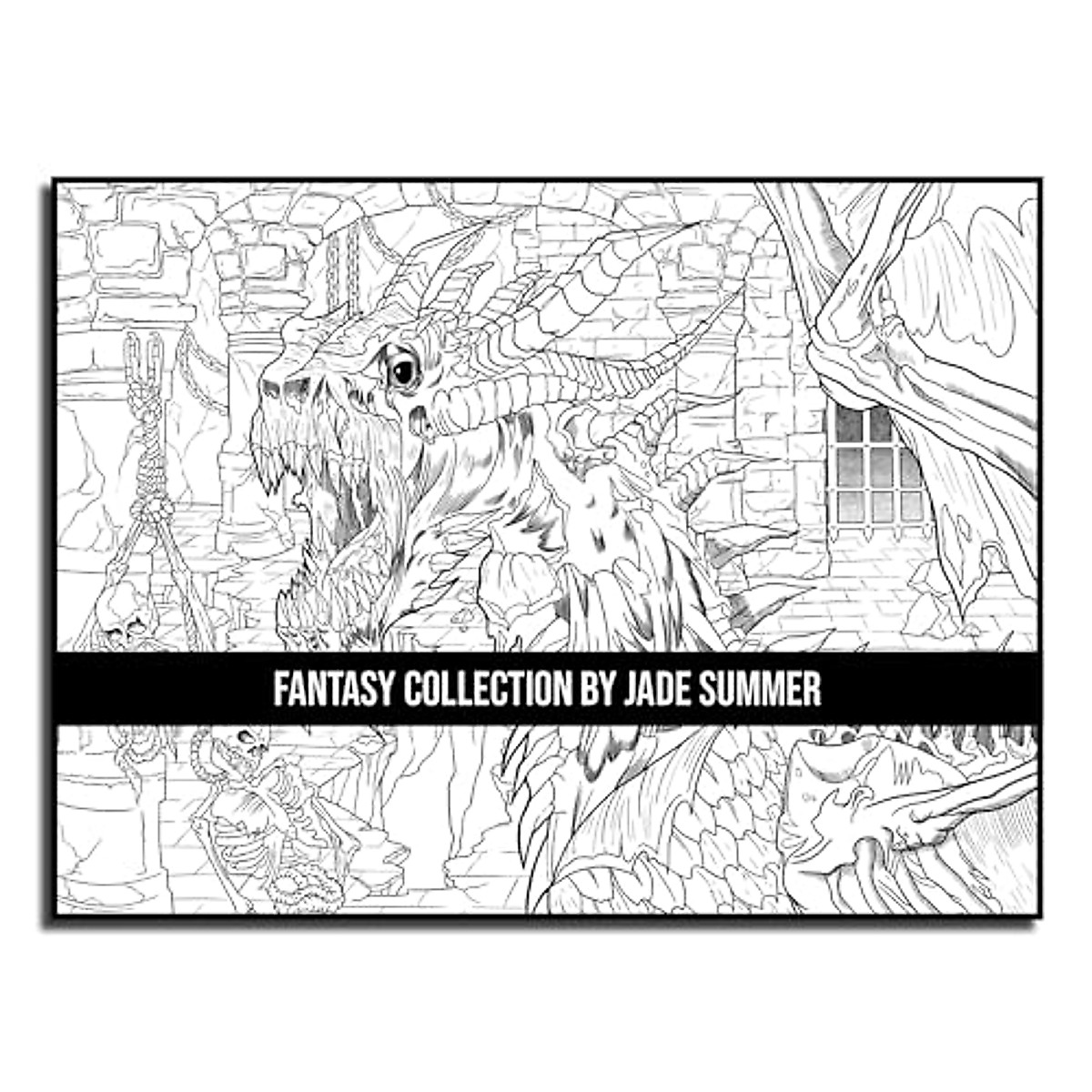 Fantasy Collection: An Adult Coloring Book with 100+ Incredible Coloring Pages of Mermaids, Fairies, Vampires, Dragons, and More!