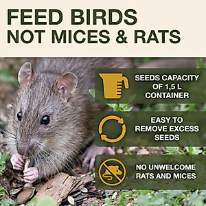 SWISSINNO Bird Feeder Davos Smart Birds | No Mess No Spill Bird Feeder for Outdoor | Mice & Rat Proof | Robust & Reliable for Hanging | Dual Food Chambers | Made in EU | Light Blue