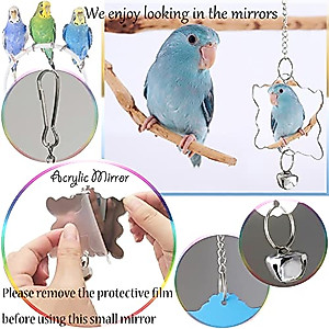 PBIEHSR Bird Parakeet Cockatiel Toys, 19 Pcs Pet Bird Cage Swing Hammock Shoe Chewing Toy Hanging Bell Wooden Perch for Conures, Love Birds, Finches, Budgie