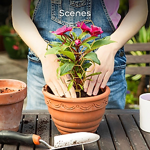 GROWNEER 2 Pcs 14" Small Plant Trellis for Climbing Plant, Honeycomb Metal Potted Trellis with 20 Pcs Cable Ties, 15 Pcs Plant Labels, Plant Support for Flower Stem Vines, Golden