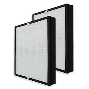 PUREBURG Replacement Filters Compatible with Air Choice AP-528 Air Purifier,2-Pack H13 HEPA 3-Stage Filtration Activated Carbon 2-in-1