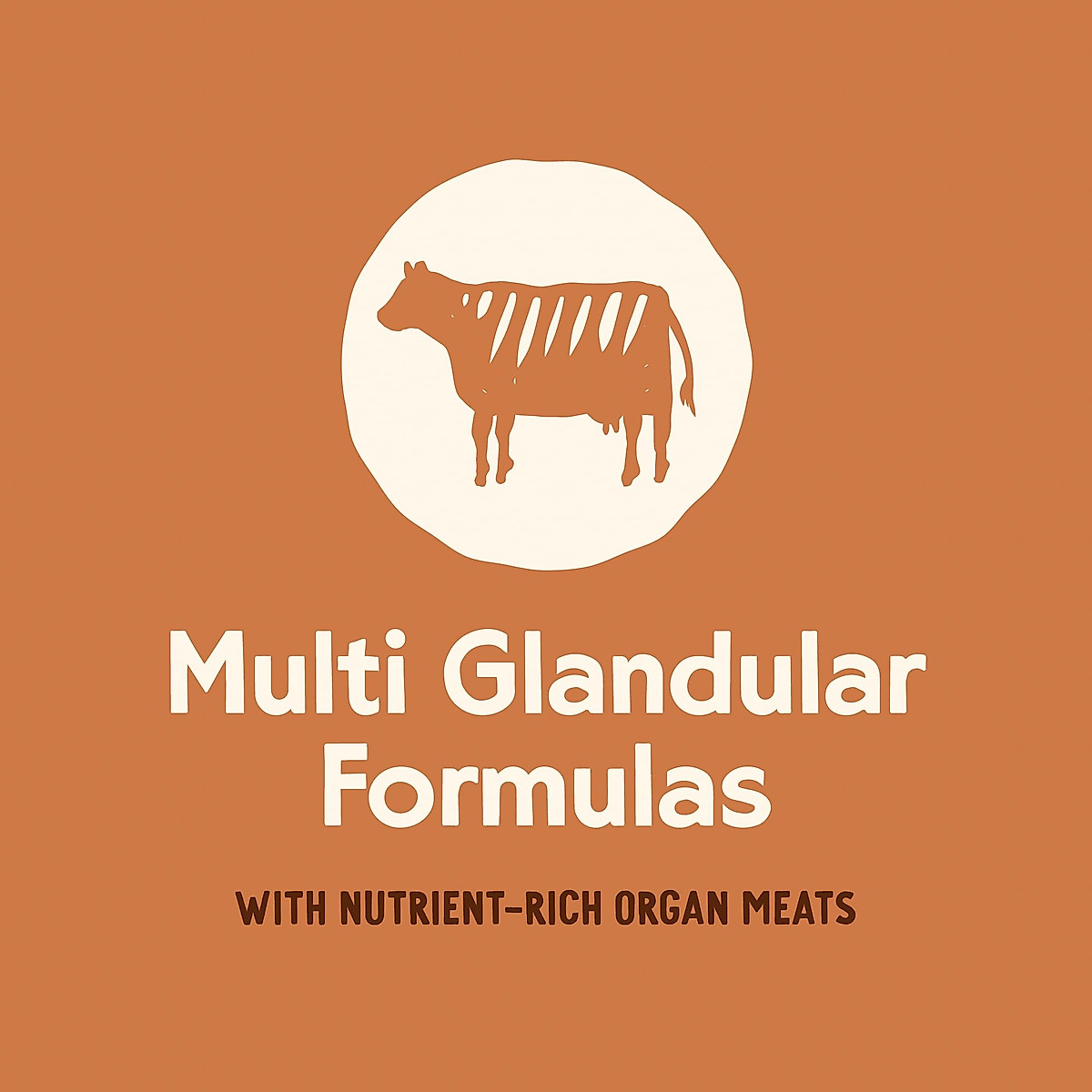 Cave Pets, Super Blend Powder, Dog Probiotic for Digestive Health and Microbiome Support, Multi-Glandular & Turmeric, 30 Servings