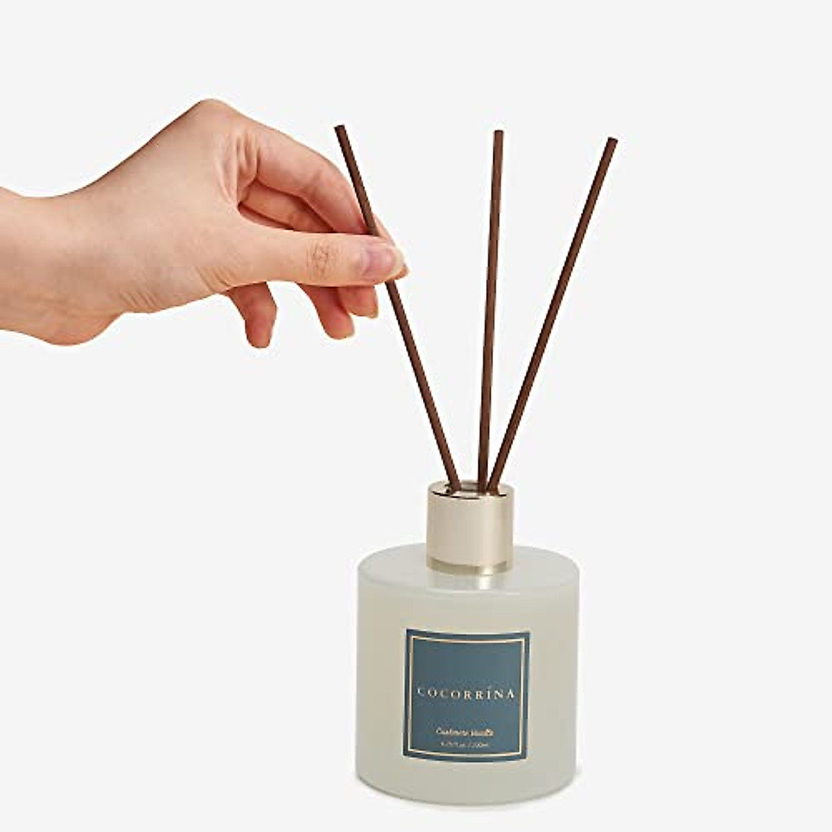 Cocorrína Premium Reed Diffuser Set with Preserved Baby's Breath & Cotton Stick Cashmere Vanilla | 6.7oz Scent Fragrance Oil Diffuser for Bedroom Bathroom Home Décor
