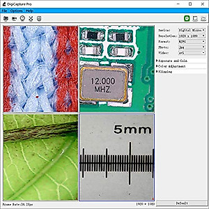 Polarizer USB Microscope, Topnisus True 5MP Electron Microscope, 250x Digital Camera Compatible with MacBook Windows PC for Coins Collection, Micro Soldering