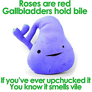 I Heart Guts Gallbladder Plush Toy - You’ve Got Gall! - 8" Educational Organ Stuffed Animals - Gallbladder Surgery Recovery Gifts, Ideal for Doctors, Nurses, Graduation