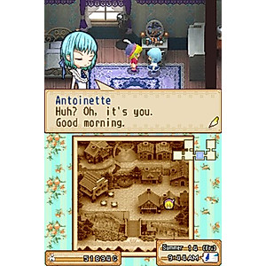 Harvest Moon: Grand Bazaar - Nintendo DS