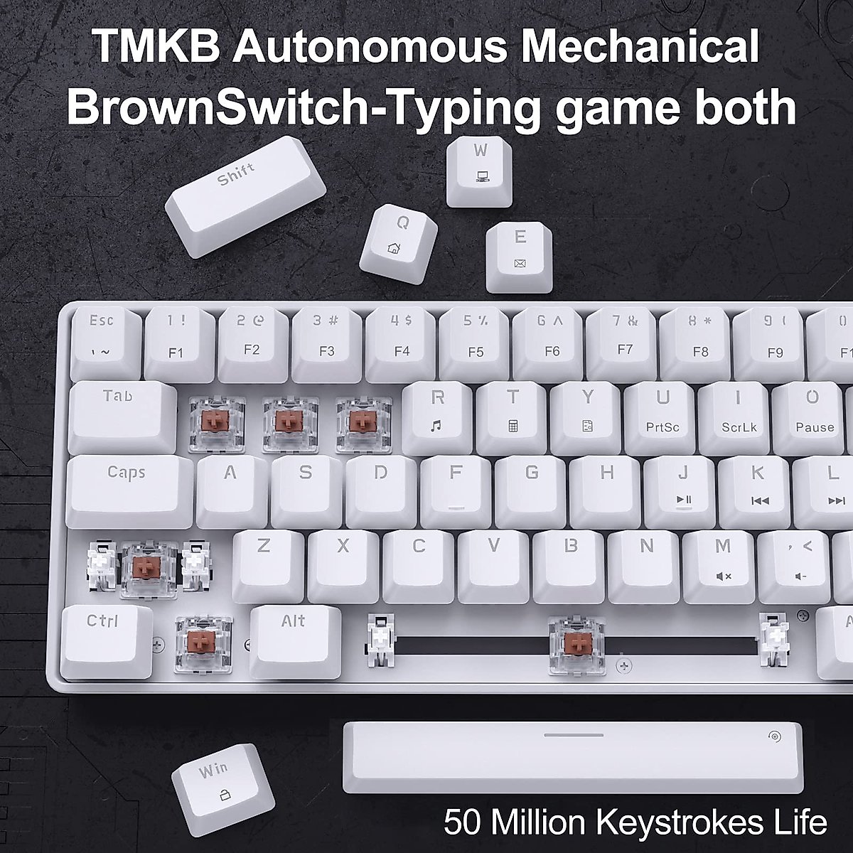 DIERYA T68SE Mechanical Gaming Keyboard, LED-Backlit Wired Keyboard, Ultra-Compact Mini 68-Key White Keyboard with Brown Switches, Anti-Ghosting Keys, for Windows Laptops and PC Gamers