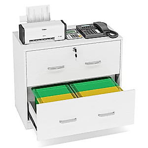 LITTLE TREE Lateral File Cabinet with 2 Drawers, 31.5 Inches Large Filing Cabinet for Hanging Letter/Legal/F4/A4 Size Files with Lock, Home Office, White