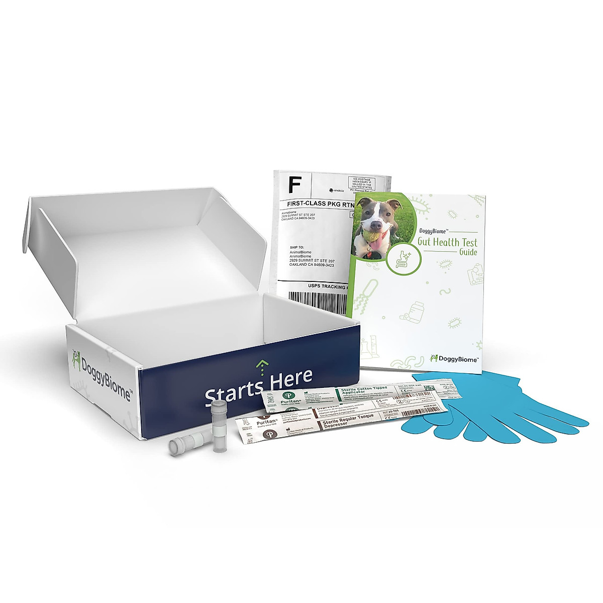 AnimalBiome Dog Probiotics Test Kit - Gut Microbiome Health Test - DoggyBiome