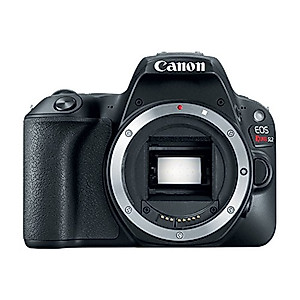 Canon EOS Rebel SL2 DSLR Camera Black Body Only (Renewed)