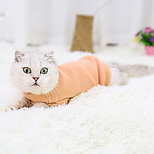 BIGNADO Small Dog Sweatshirt Cat Sweaters Spring Soft Warm Coat Cat Vest Clothes Puppy Kitten Coat Dog Cat Sweater Warm Dog Shirt for Small Dog Chihuahua Bulldog Puppy Kitten (M)