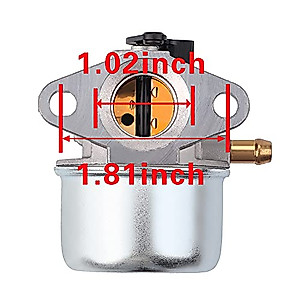 Panari 497314 799868 Carburetor for Briggs & Stratton 14111 498170 497314 497586 498254 498255 498966 Craftsman 625 6150 Engine with 491588s Filter