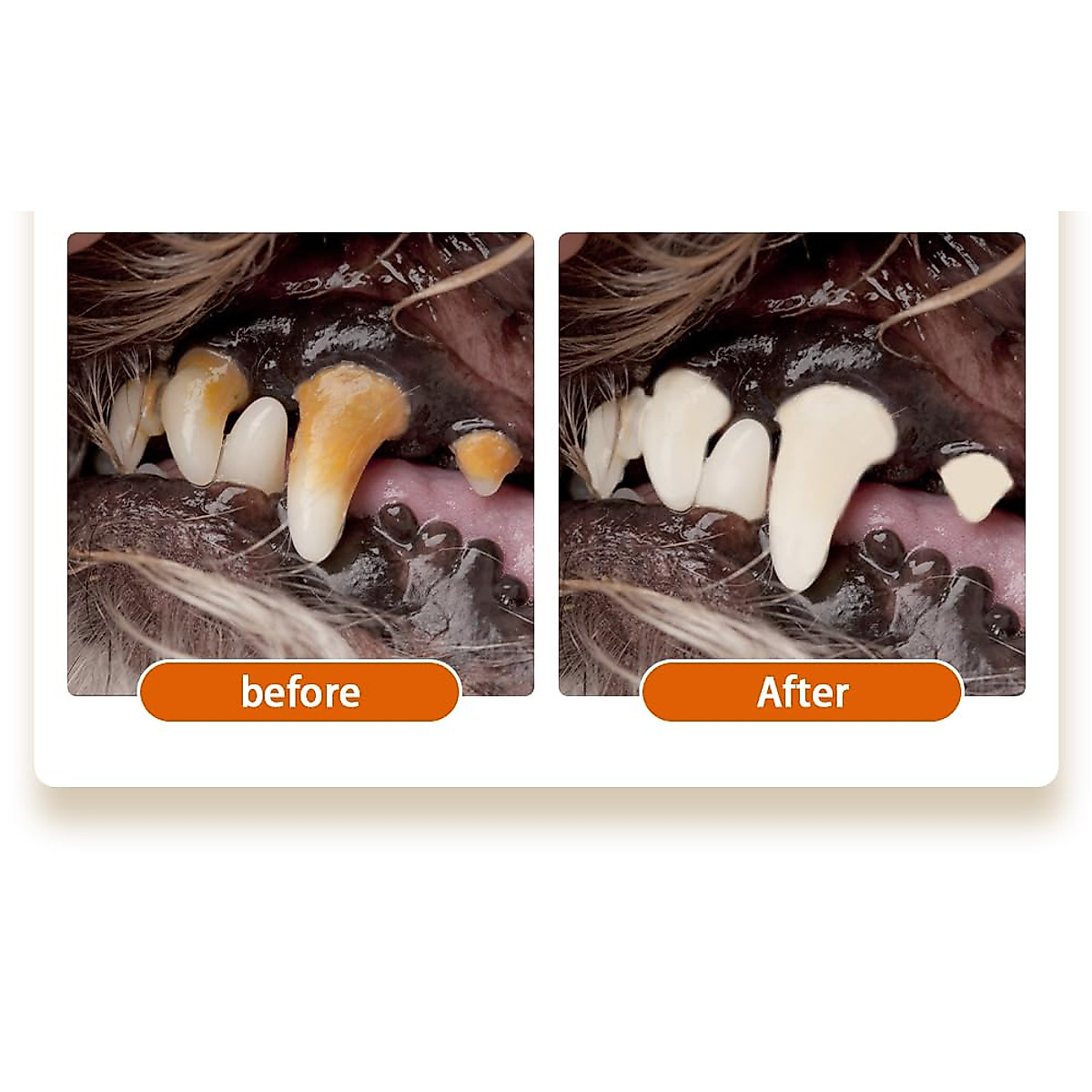 Dog Toys for Chewers Indestructible, Durable Dog Toys for Aggressive Interactive Dog Toys Squeaky Soft and Safe Teeth Cleaning Small Medium Dogs and Large, Non-Toxic