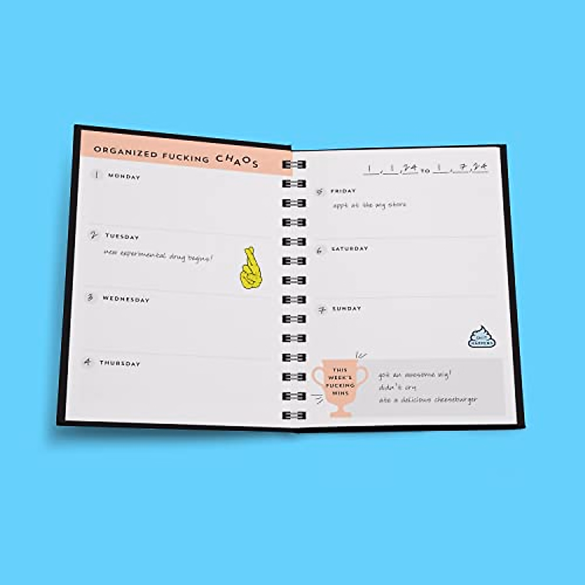 F*ck Cancer Undated Planner: A 52-Week Motivational Organizer and Get Well Gift for Cancer Patients and Caregivers