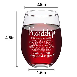 DAZLUTE 17oz Stemless Wine Glass, Friendship Gift for Women Glass, Durable, Perfect for Wine, Cocktails, Juice, Coffee, Tea, Ideal Birthday, Christmas, Mother's Day Gift