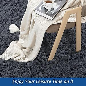 BALAPET 9x12 Fluffy Modern Plush Area Rug, Ultra Soft Large Faux Fur Area Rug for Bedroom Living Room, Non-Skid Indoor Carpet for Kids Playroom Home Decor, Dark Grey