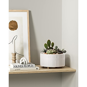 LE TAUCI Succulent Pots, 6.5+8 Inch Ceramic Indoor Plant Pot with Drainage Hole, Modern Round Decorative Flower Pot, Gifts for Mom, Set of 2, Matte White