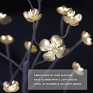 Anycosy 21'' Tabletop Bonsai Tree Lights,120 LED Plum Blossom Tree Table Lamp with 8 Modes & 6 Hrs Timer,Battery/USB Operated Artificial Tree with Lights for Indoor Decoration