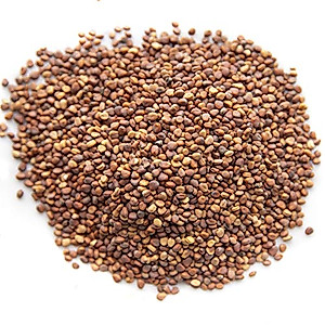 Rainbow Radish Sprouting Seeds Mix | Heirloom Non-GMO Seeds for Sprouting & Microgreens | Contains Red Arrow, Purple Triton & White Daikon Radish Seeds 1 lb Resealable Bag | Rainbow Heirloom Seed Co.