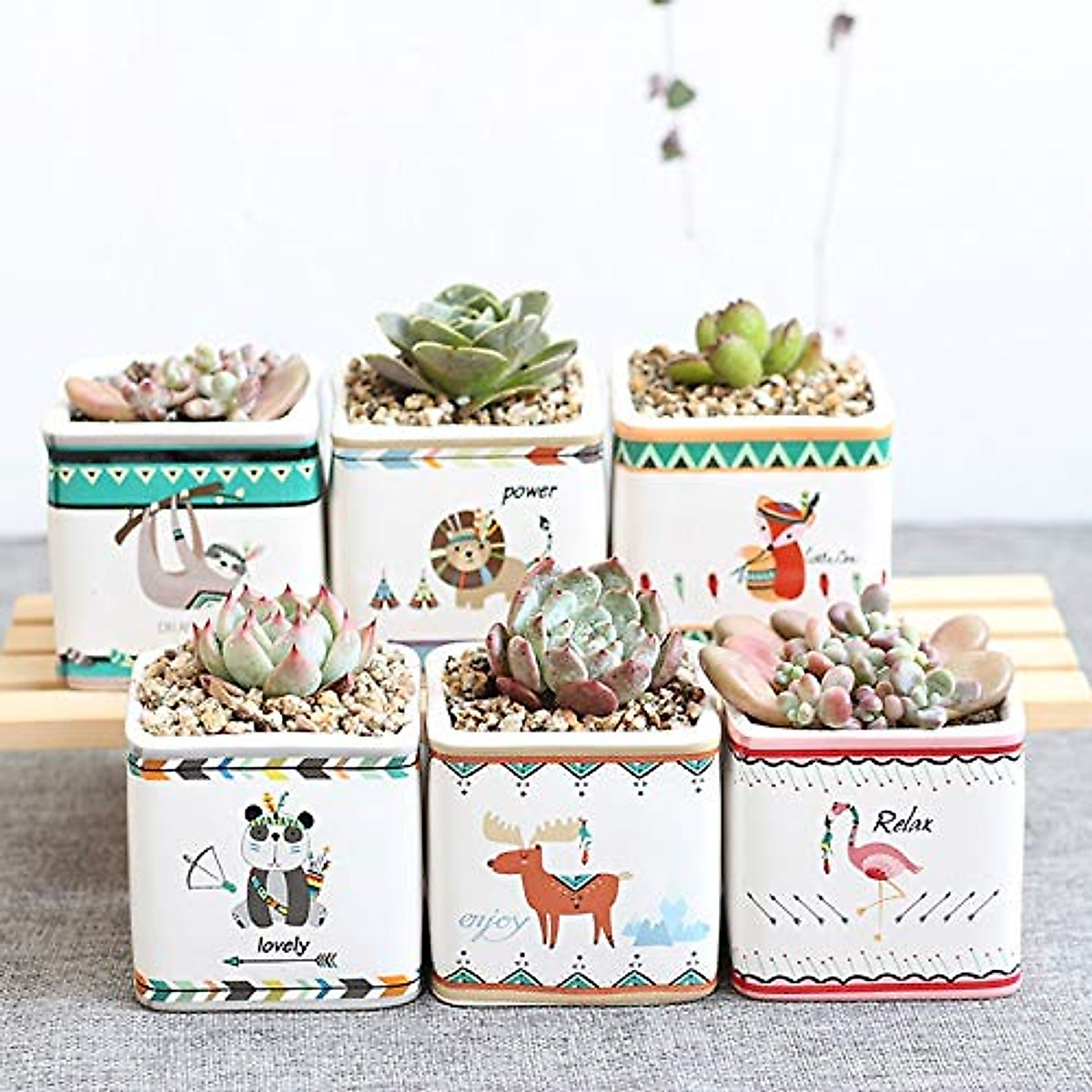 Zamtac Set of 6 Cartoon Animal Painting Planters Ceramic Succulent Plant Pot Porcelain Desktop Bonsai Planter Flamingo Panda Fox