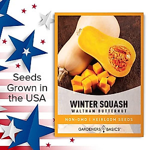 Butternut Squash Seeds for Planting - Waltham Heirloom Non-GMO Winter Storage Vegetable Plant for Home Garden Vegetables Makes a Great Gift for Gardening by Gardeners Basics