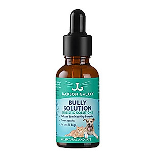 Jackson Galaxy: Bully Solution (2 oz.) - Pet Solution - Promotes Relaxation and Calmness - Can Support Bullying and Dominance - All-Natural Formula - Reiki Energy
