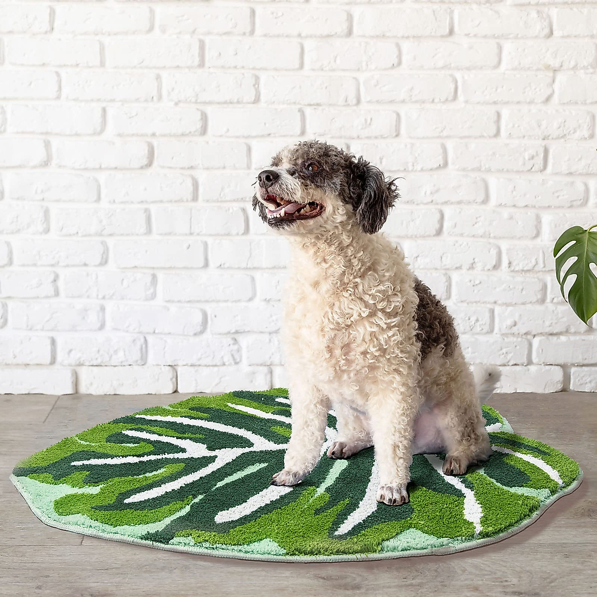 NOTASA Kids Rug Green Leaf Area Rug for Nursery Cute Bath Mat Non Slip Small Preppy Carpet for Bedroom Bathroom Children Playroom Boho Home Decor Washable 2.6'x4'